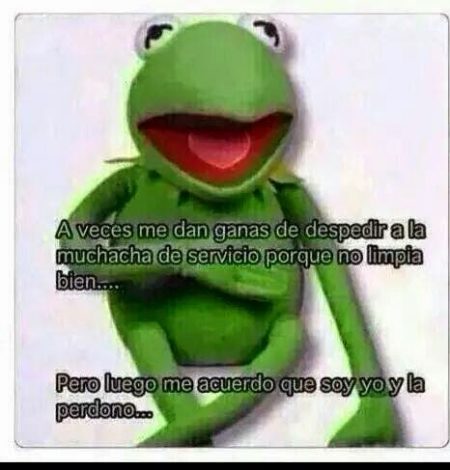 rana-rene-a-veces | Alicia Llanas